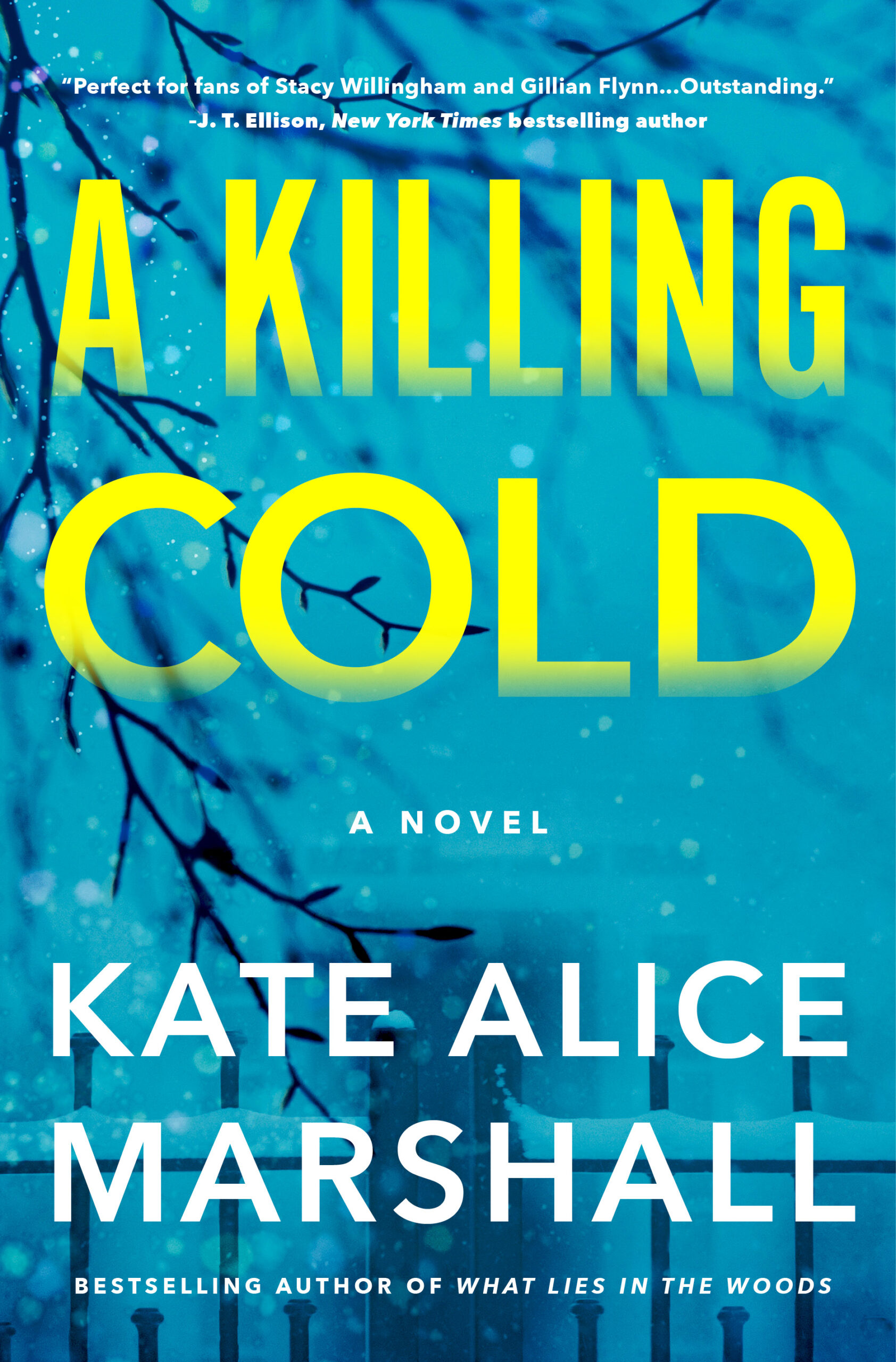 Kate Marshall » A Killing Cold